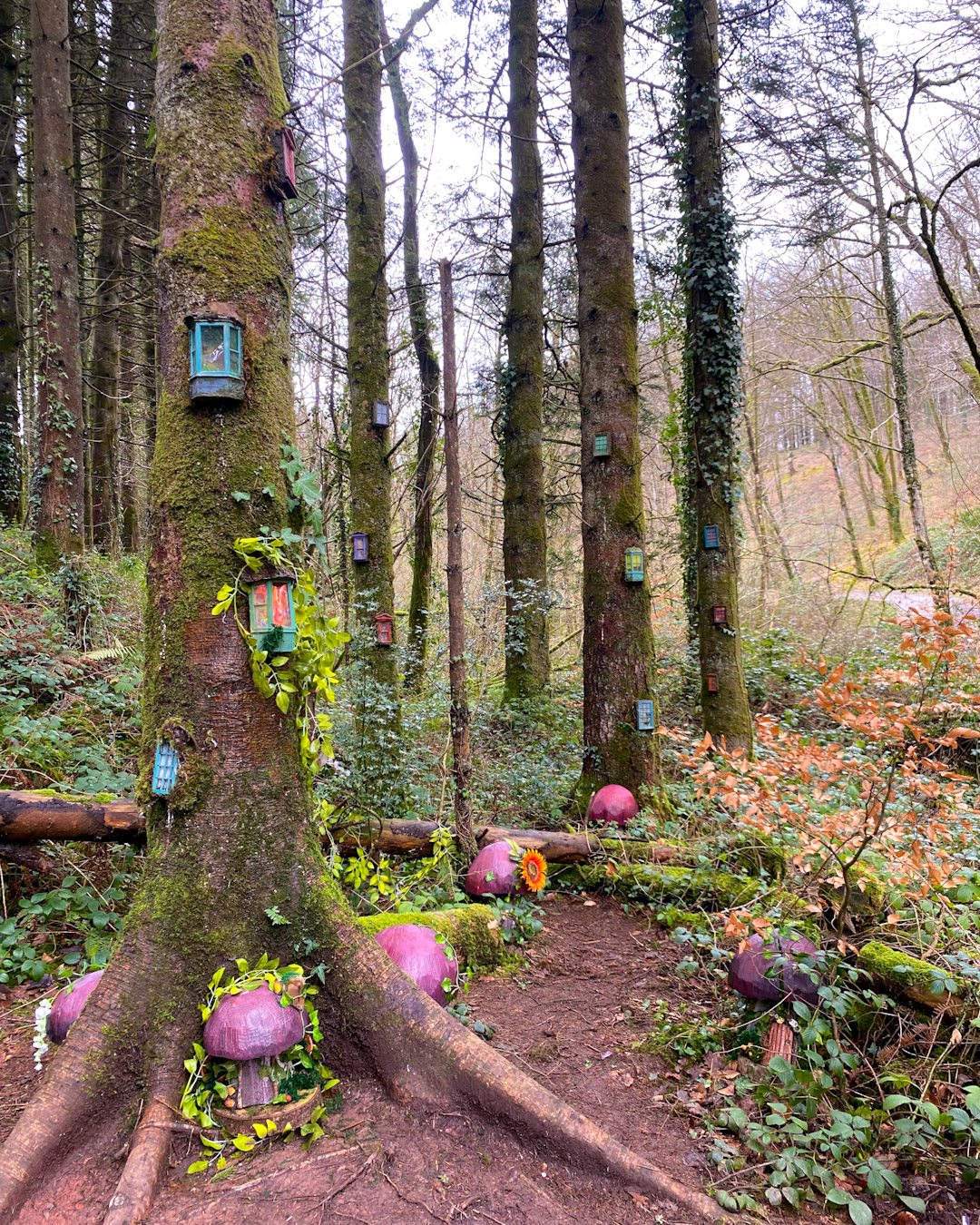 Bluestone, Wales Review - Wonderful family break with a 3 and 1 year ...