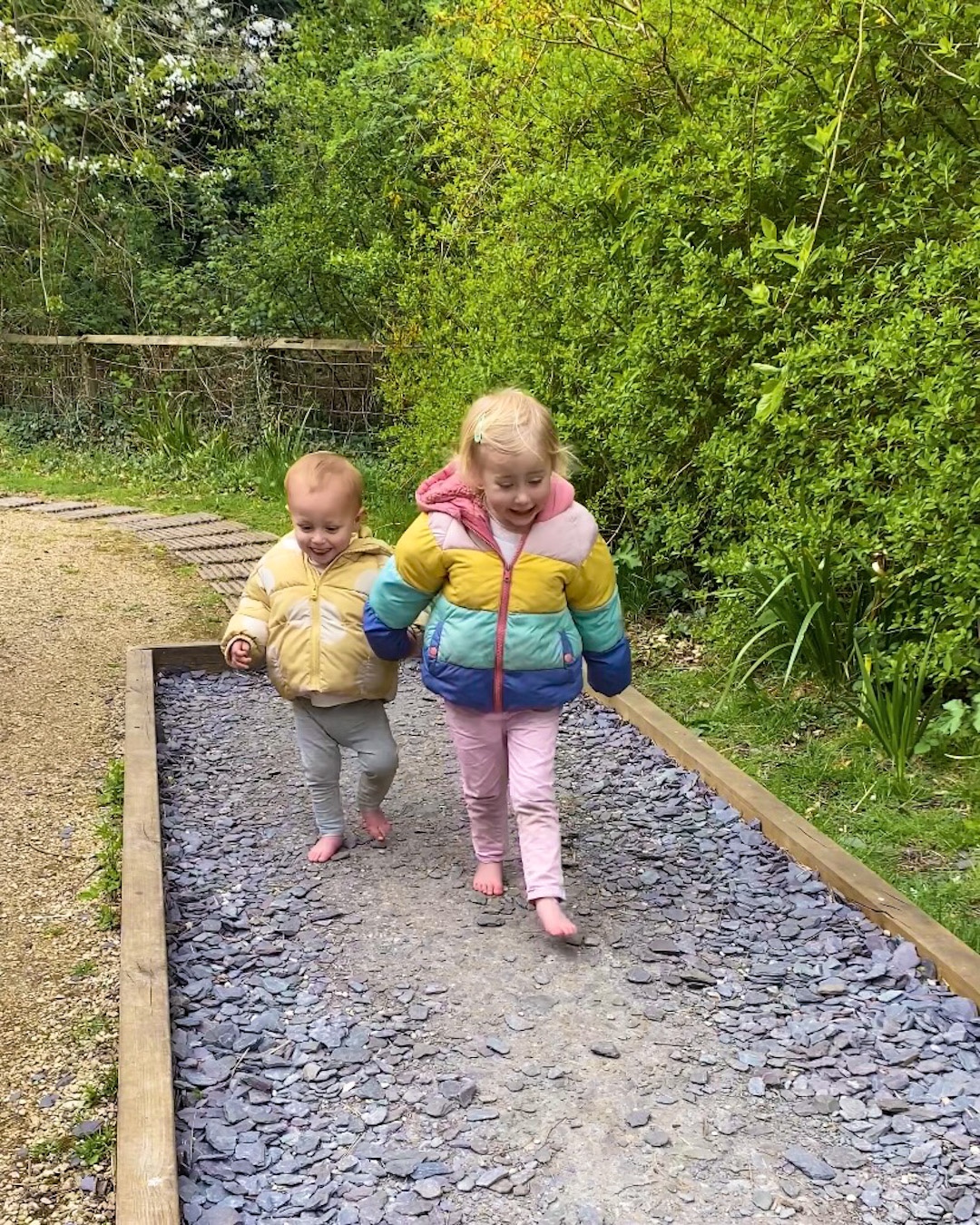 The Wild Place Project to Become Bristol Zoo Project - Bristol Family Blog