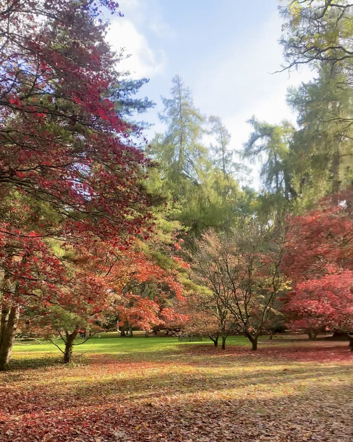 Westonbirt Arboretum - New Play Areas! - Bristol Family Blog