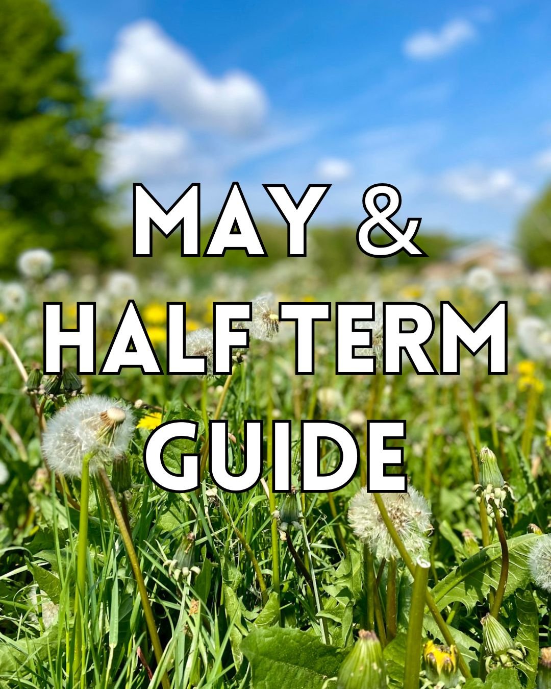 What’s On in Bristol & Bath This May & May Half Term 2026 - Family ...